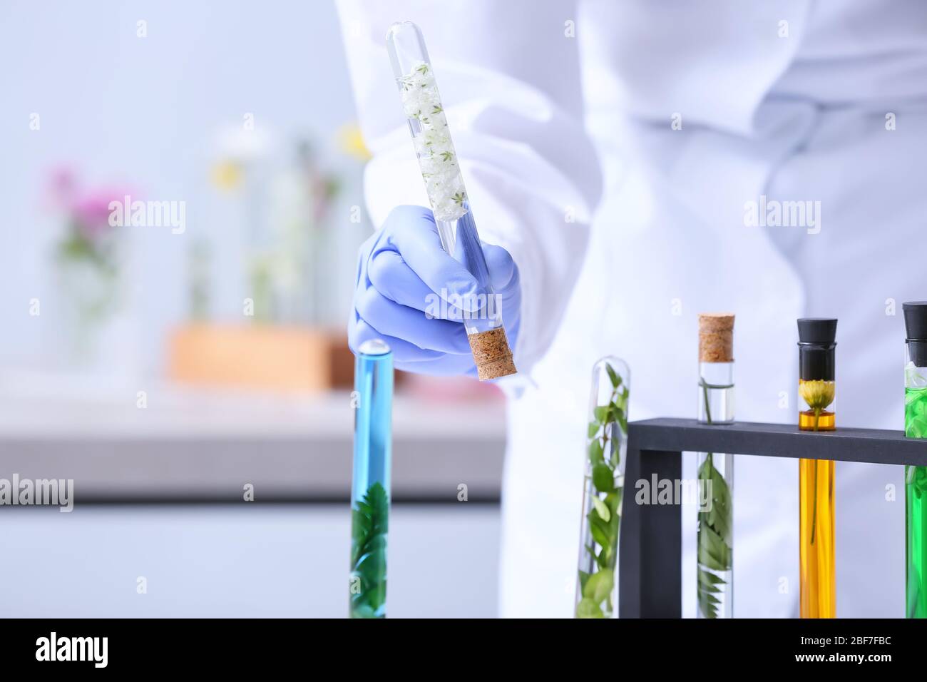 Scientist working with samples of plants in laboratory Stock Photo - Alamy