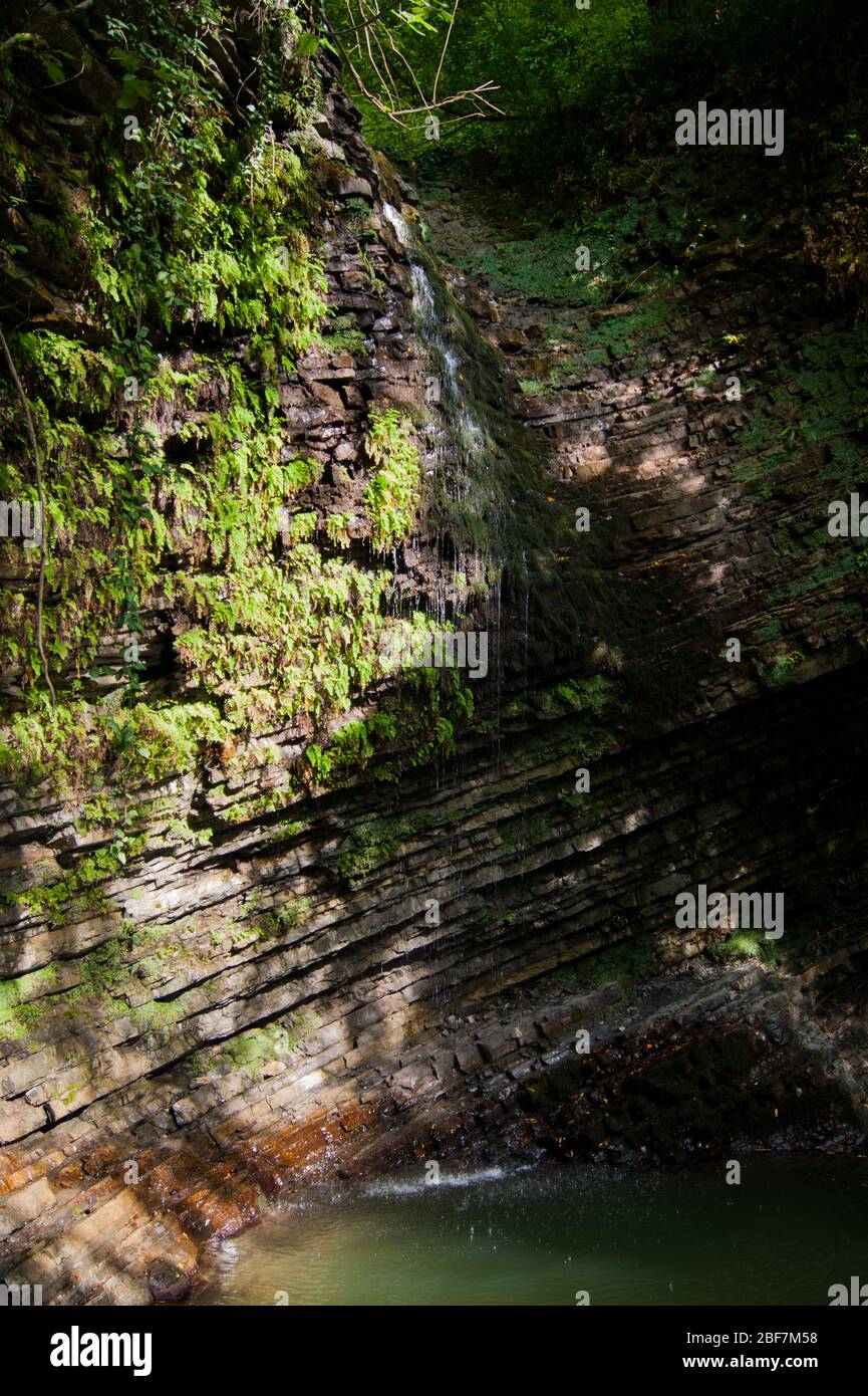 Ivy holidays hi-res stock photography and images - Alamy