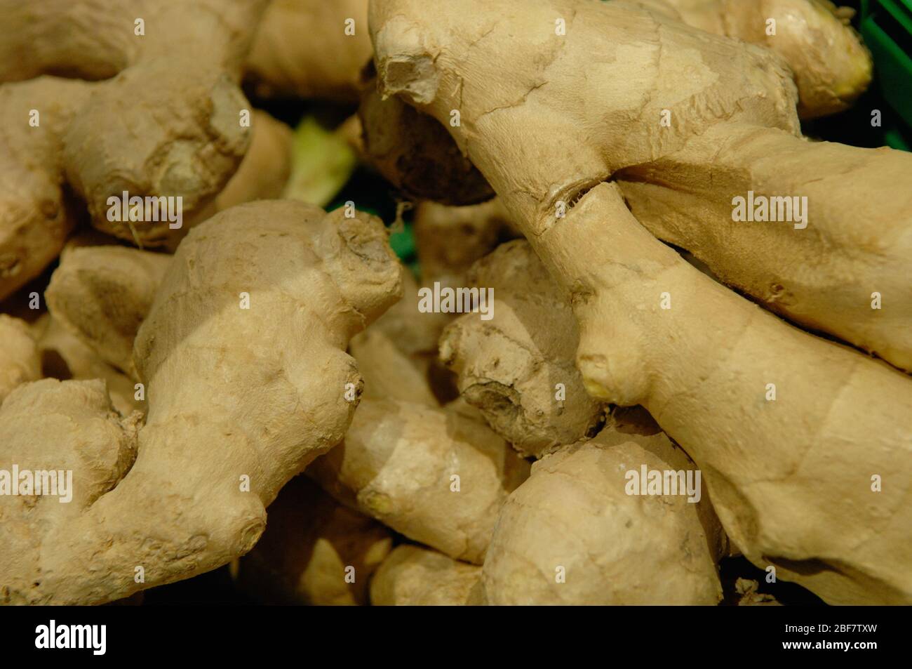 Flowering Plant Of The Ginger Family High Resolution Stock Photography ...
