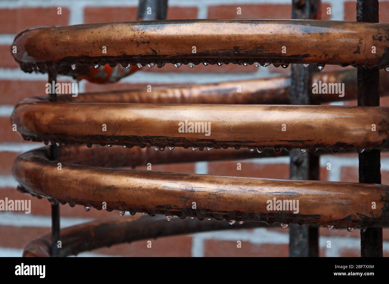 long wet copper coil for the distillation of spirits in a distillery ...