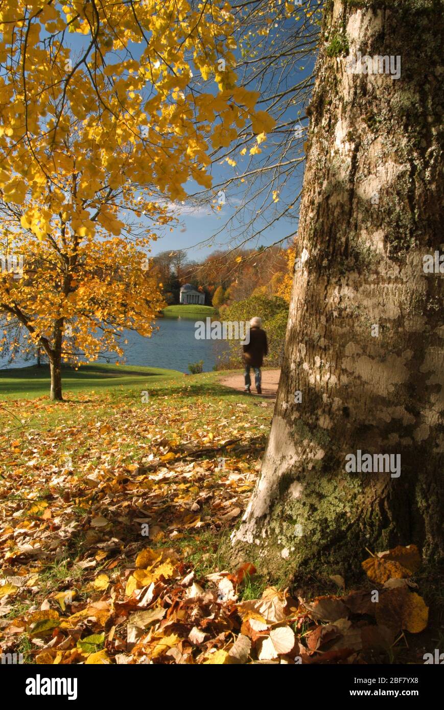 Stourhead autumn walk hi-res stock photography and images - Alamy