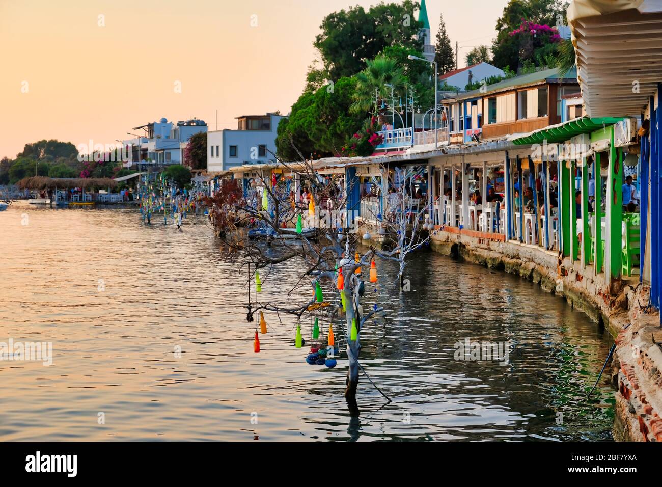Mimoza, Gumusluk Bodrum Sunset accompanied by a delicious fish ...