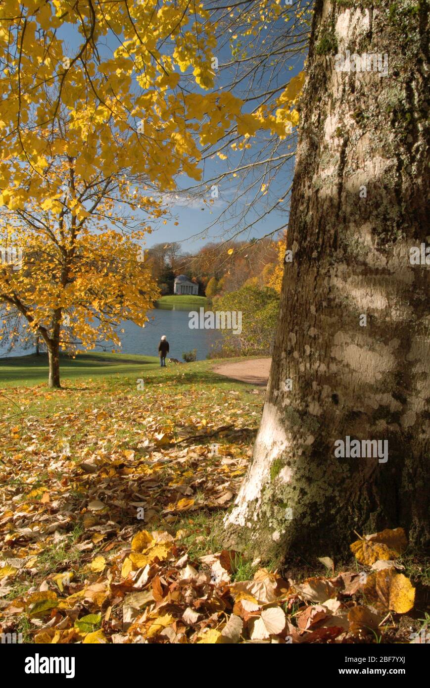 Stourhead autumn walk hi-res stock photography and images - Alamy