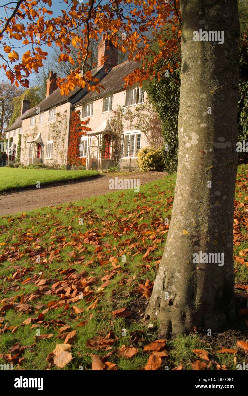 Cottages stourhead hi-res stock photography and images - Alamy