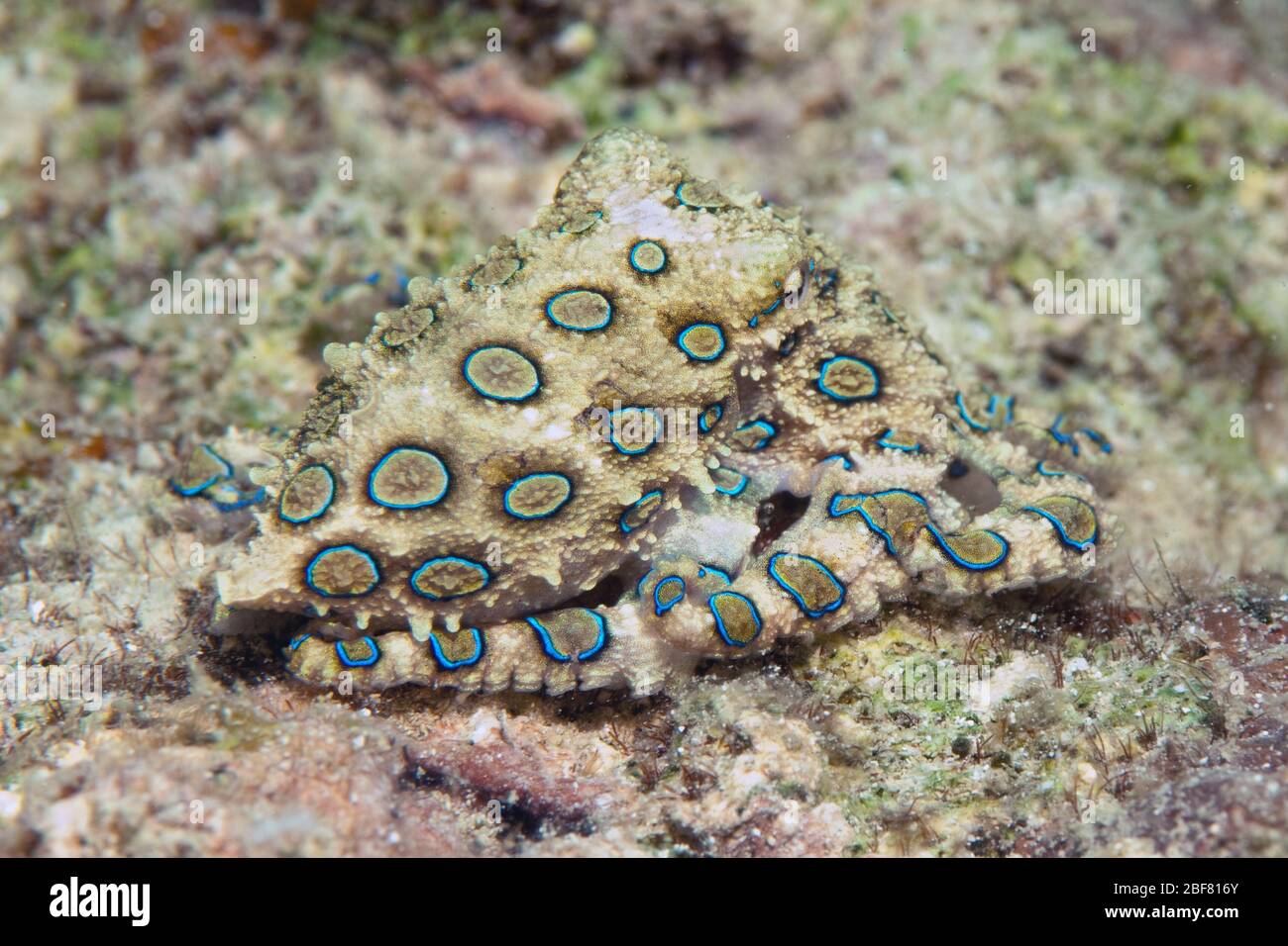 Blauring High Resolution Stock Photography and Images - Alamy