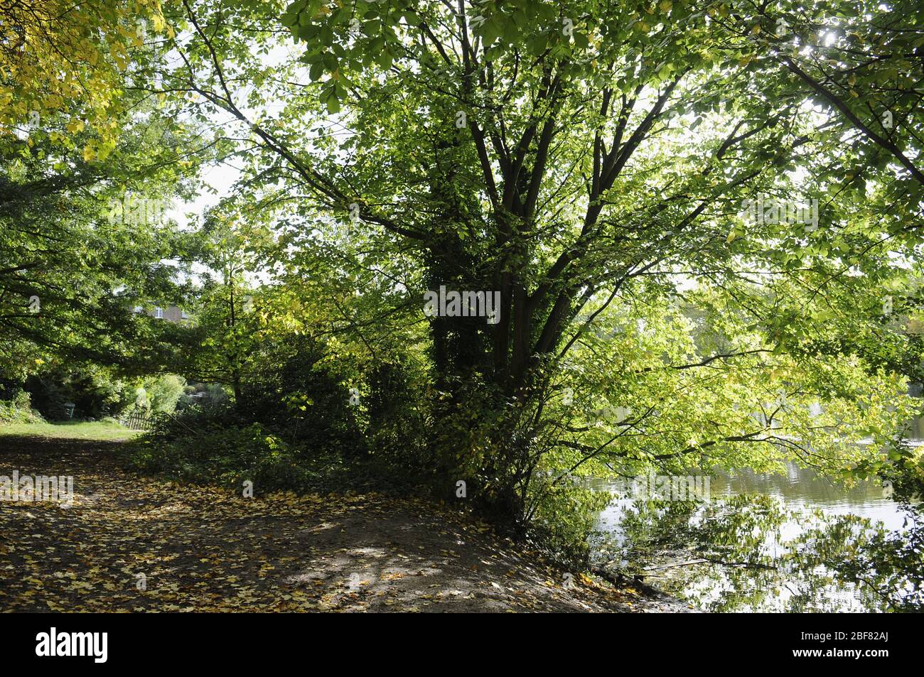 Hampstead pathways hi-res stock photography and images - Alamy
