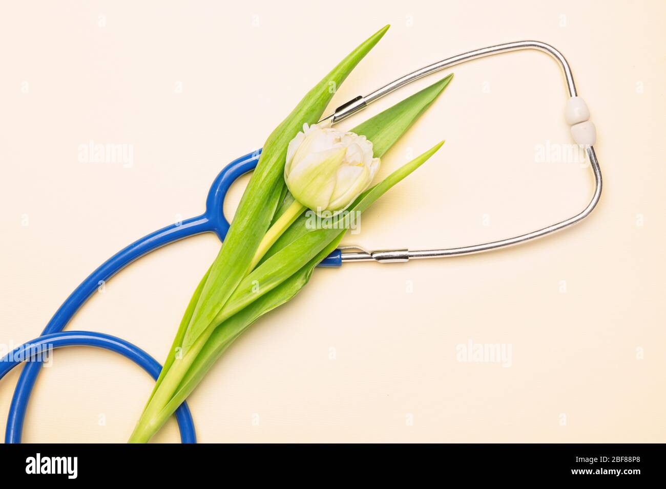Flower stethoscope hi-res stock photography and images - Alamy