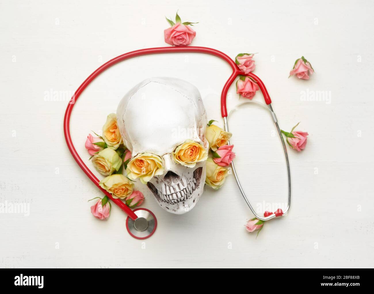 Stethoscope with flowers and human skull on white wooden background ...