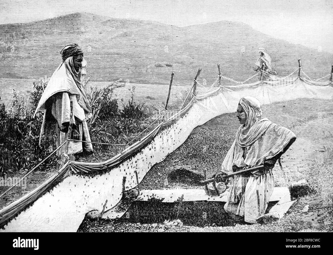 Treating Swarms of Locusts or Locust Control in the Middle East ...