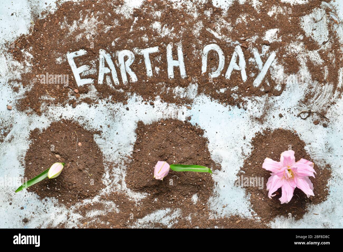 Soil and flowers on light background. Earth Day celebration Stock Photo ...