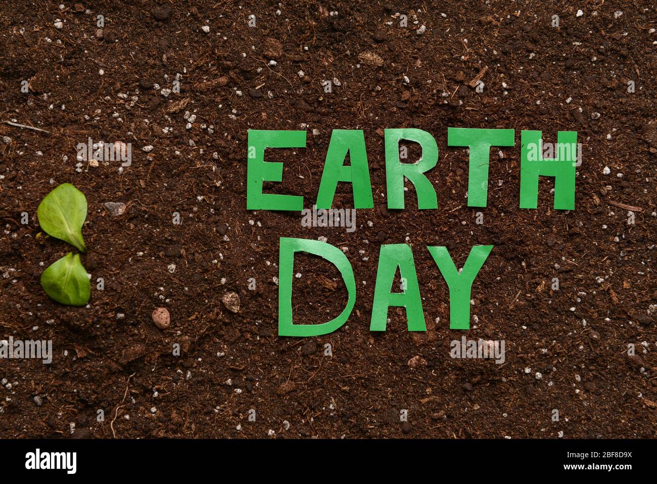 Plant and text EARTH DAY on soil Stock Photo - Alamy