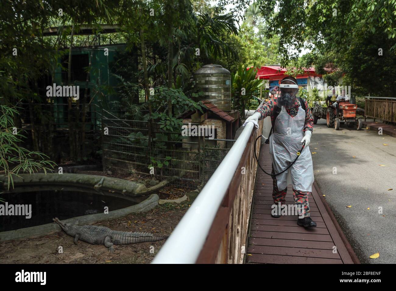 News fire zoo hi-res stock photography and images - Alamy