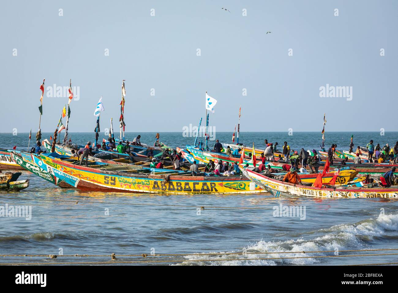 TANJI, THE GAMBIA - NOVEMBER 21, 2019: People carrying fish from the ...