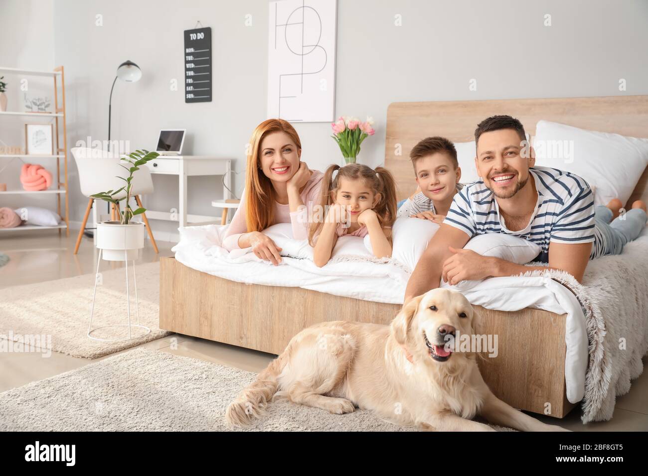 Happy family with dog in bedroom at home Stock Photo - Alamy