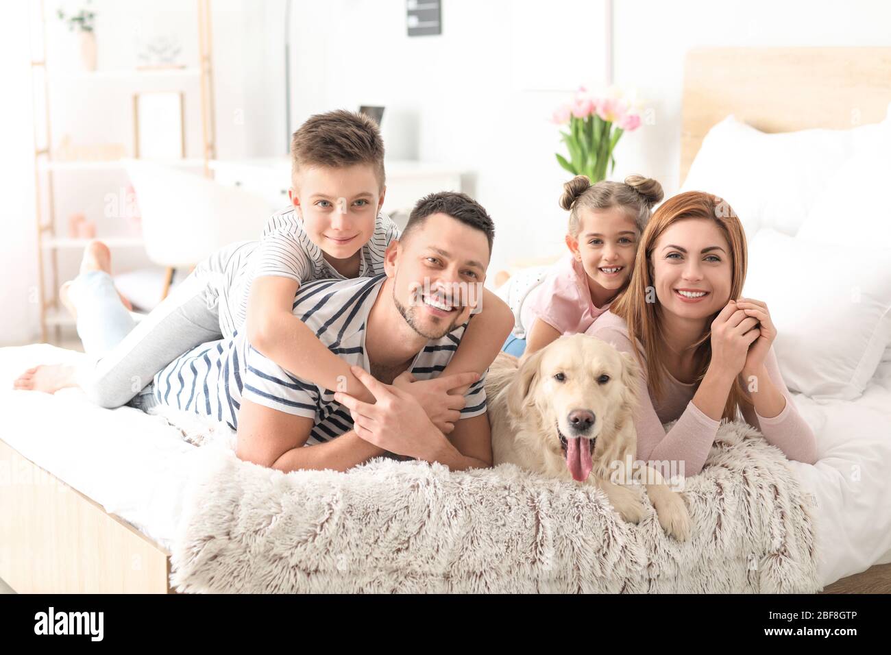 Happy family with dog in bedroom at home Stock Photo - Alamy
