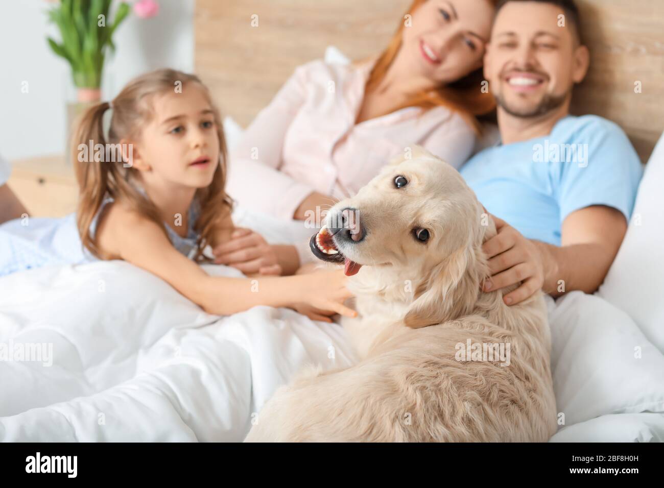 Happy family with dog in bedroom at home Stock Photo - Alamy