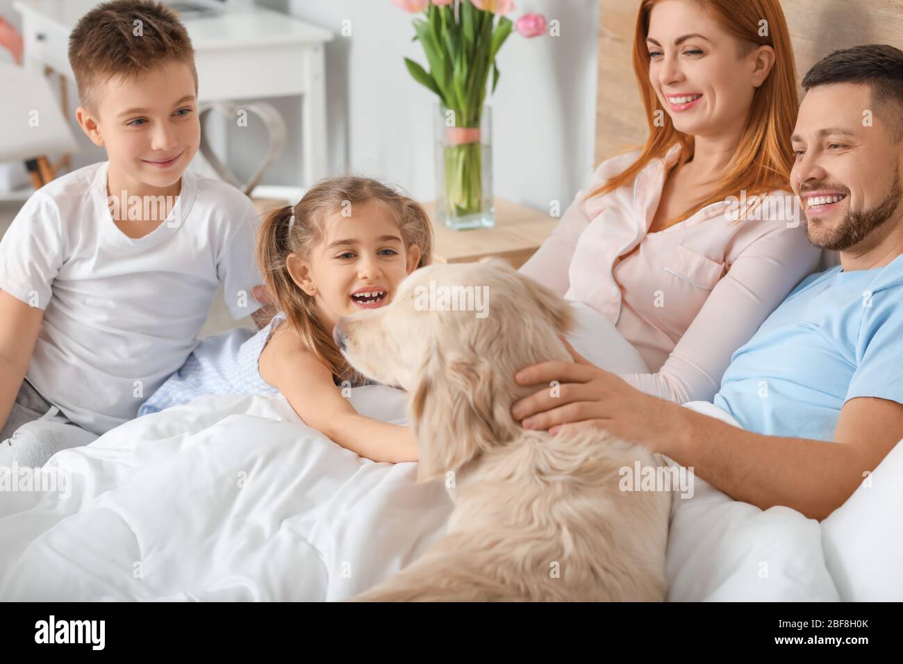 Happy family with dog in bedroom at home Stock Photo - Alamy