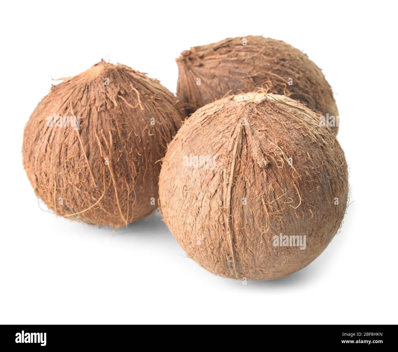 Ripe coconuts on white background Stock Photo - Alamy