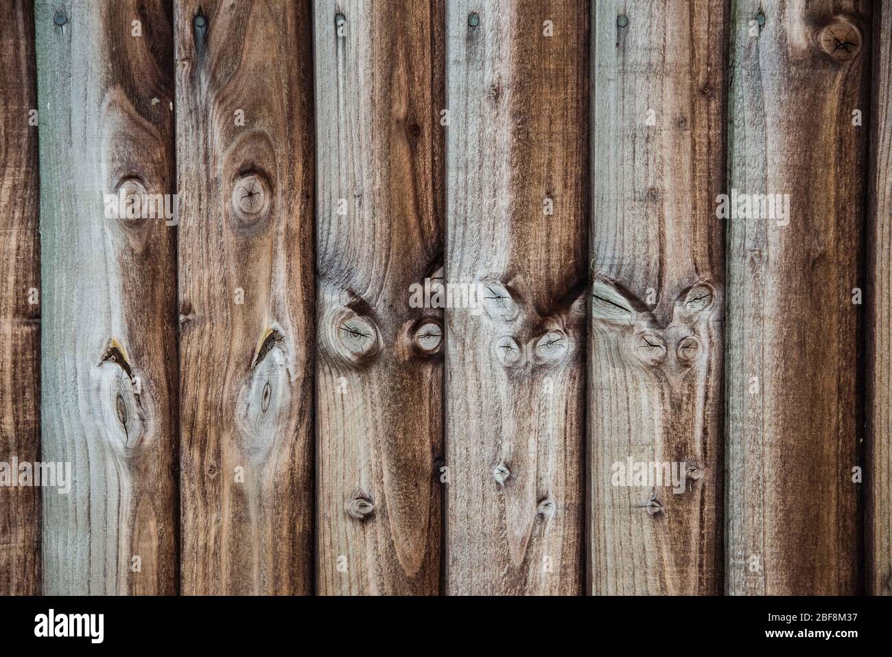 Rustic Wood Panel Background