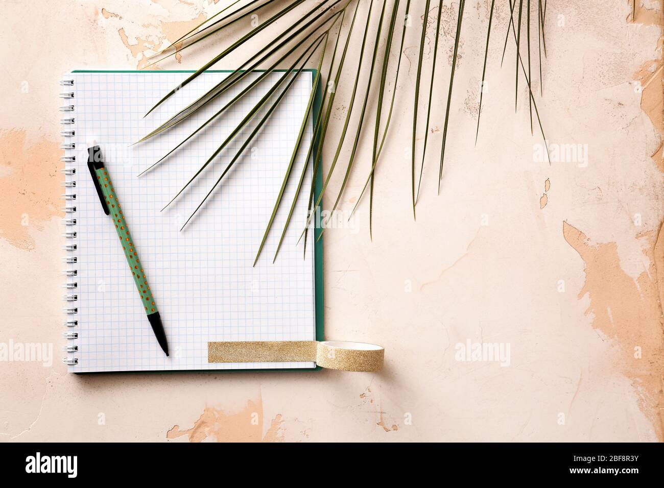 Notebook with pen and palm leaf on white background Stock Photo - Alamy