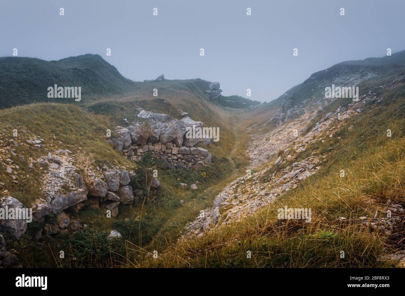 Portland park blocks hi-res stock photography and images - Alamy