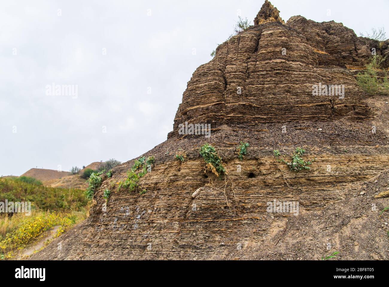 Geological rock layers of ground in Russia Stock Photo - Alamy