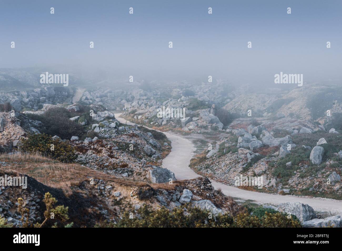 Portland park blocks hi-res stock photography and images - Alamy