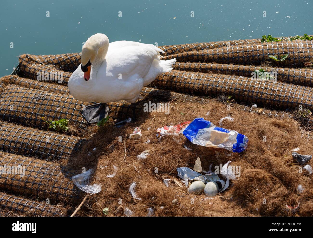 Brooding water hi-res stock photography and images - Alamy