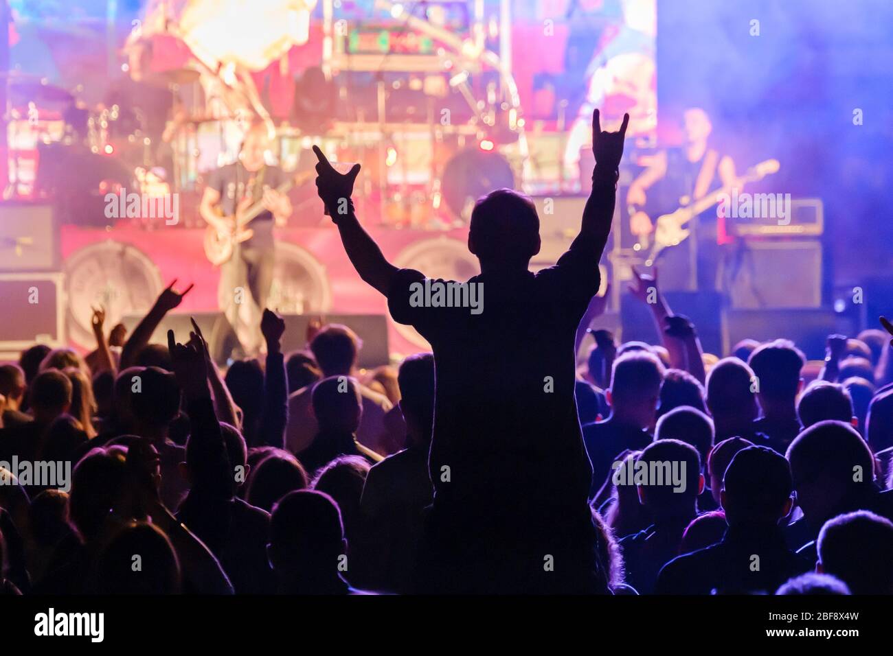 Fans at live rock music concert cheering Stock Photo - Alamy