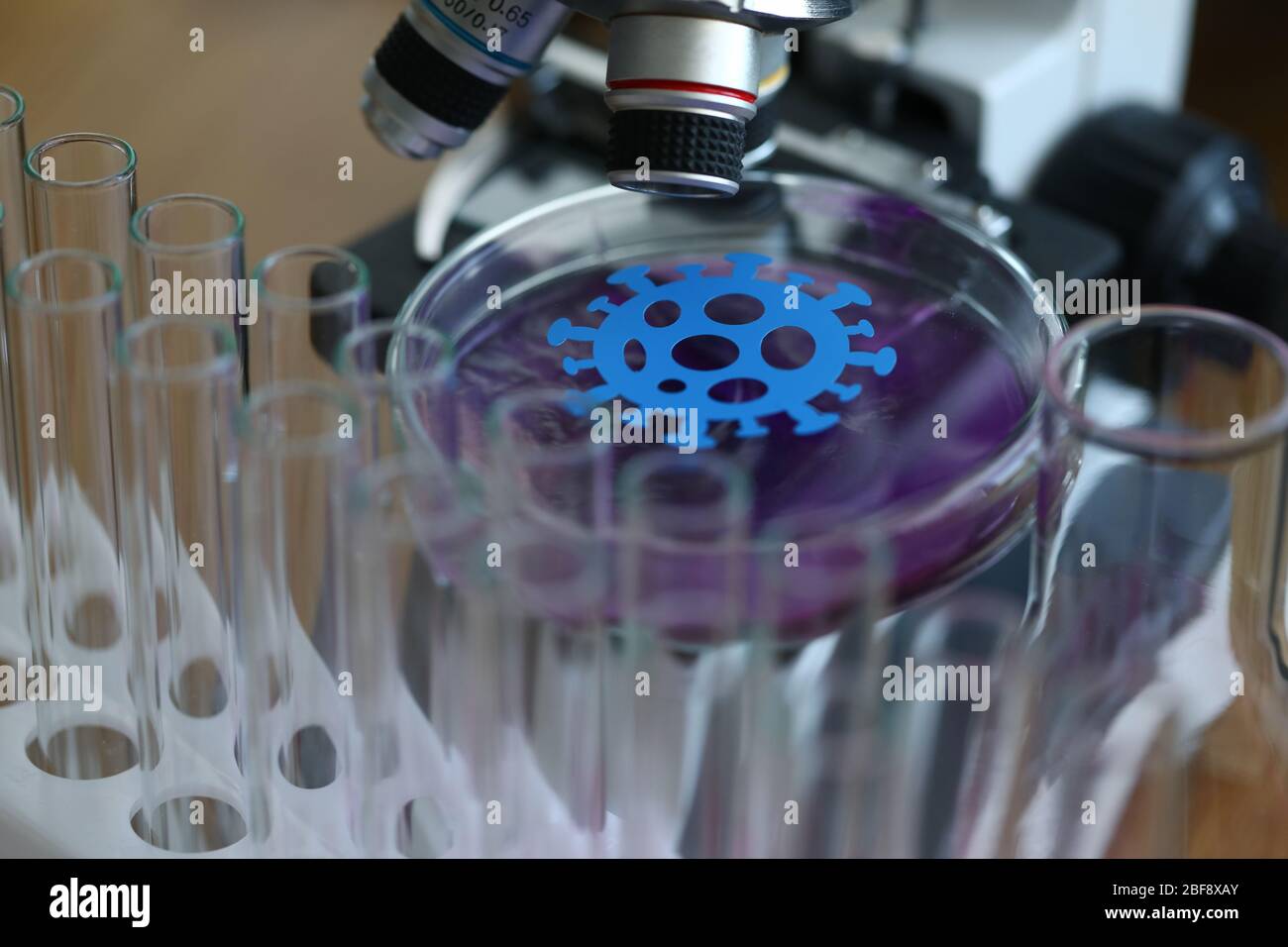 Bacteria under microscope hi-res stock photography and images - Alamy