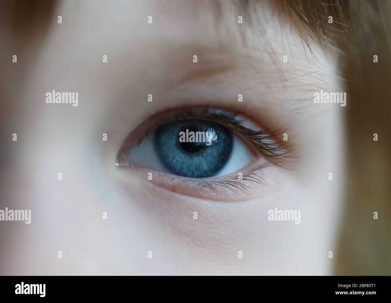 Close up innocent look child, adorable childhood Stock Photo - Alamy