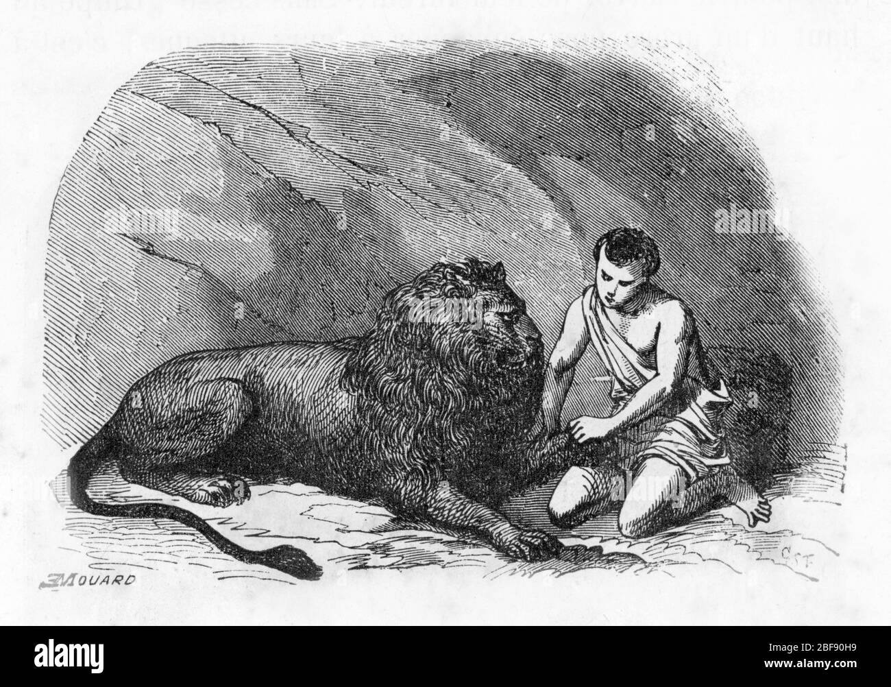 Androclus and the lion Black and White Stock Photos & Images - Alamy