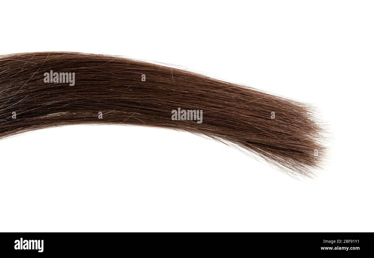 Strand of beautiful straight hair on white background Stock Photo - Alamy