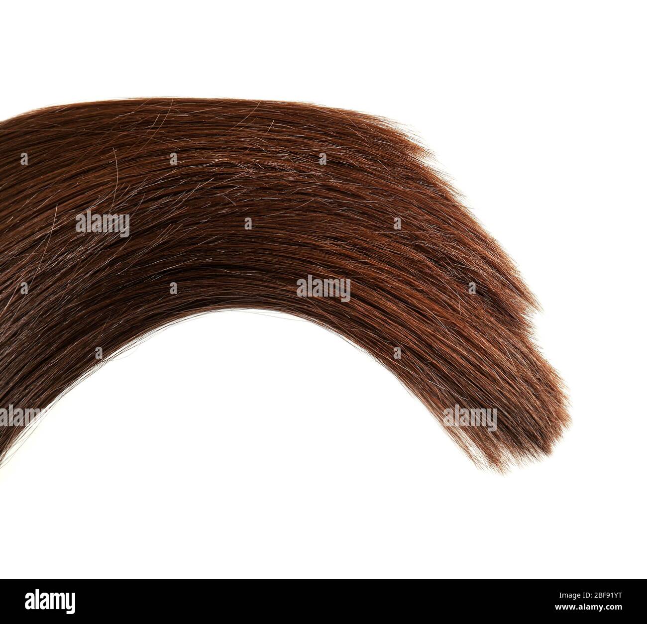 Strand of beautiful straight hair on white background Stock Photo - Alamy