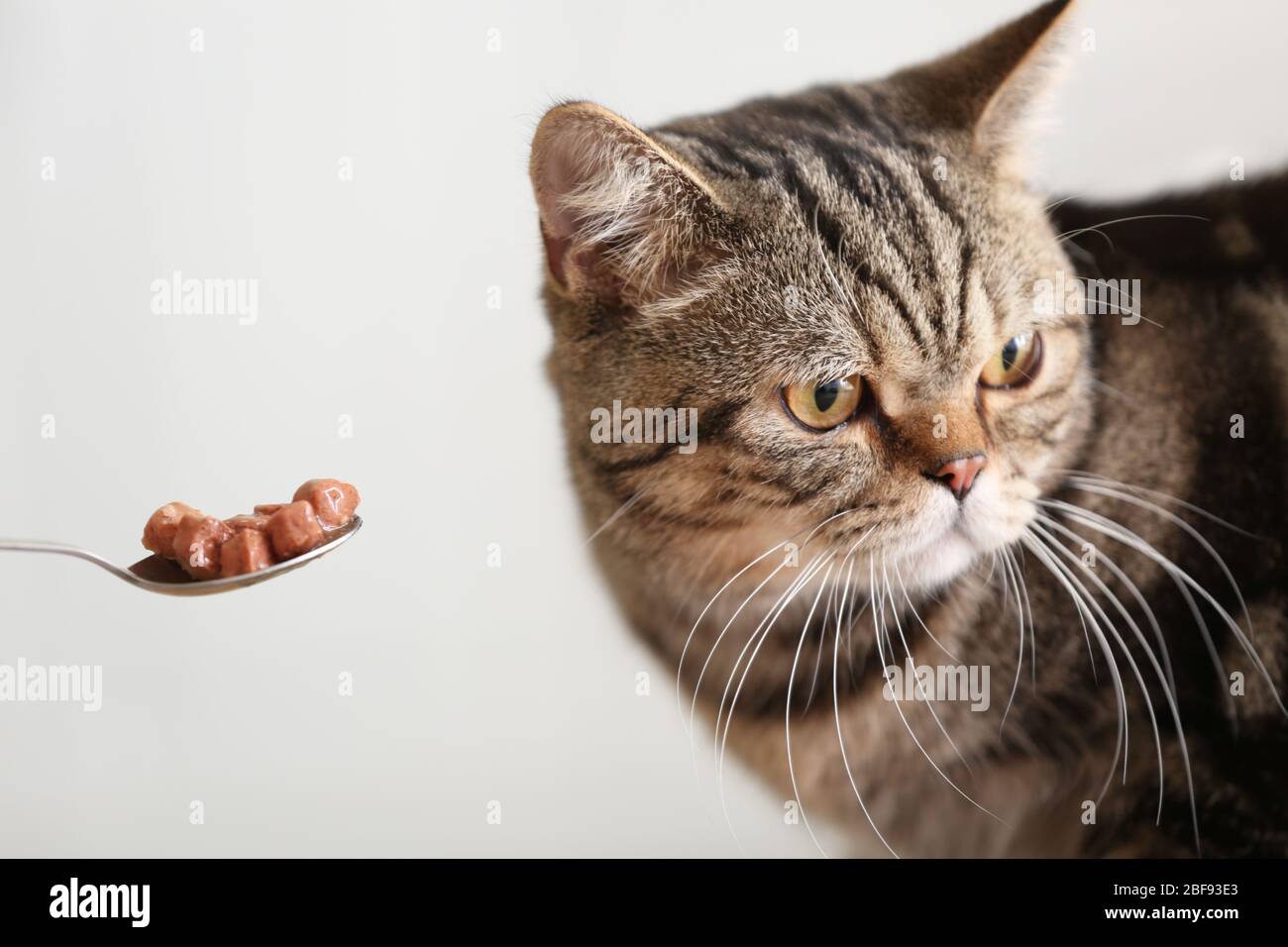 Spoon owner hi-res stock photography and images - Alamy