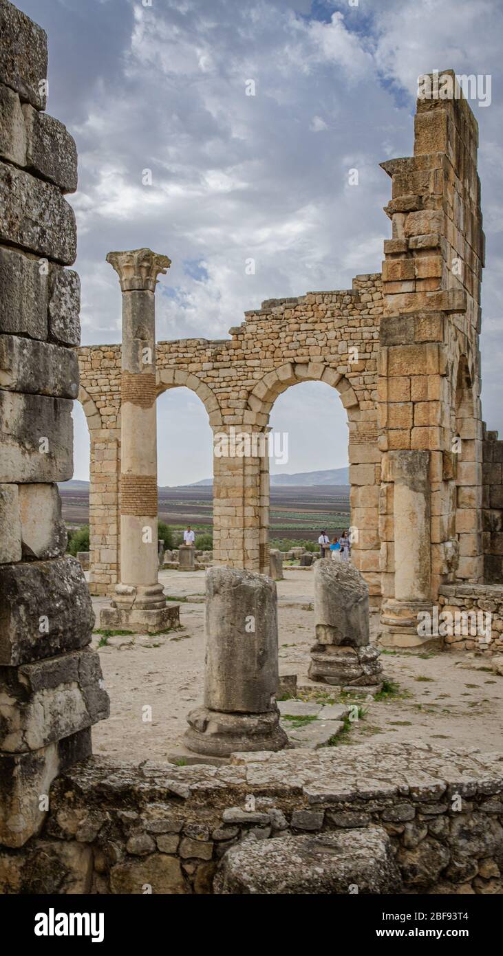 Old Roman ruins in Volubilis, Meknès-Tafilalet, Morocco, Africa Stock ...