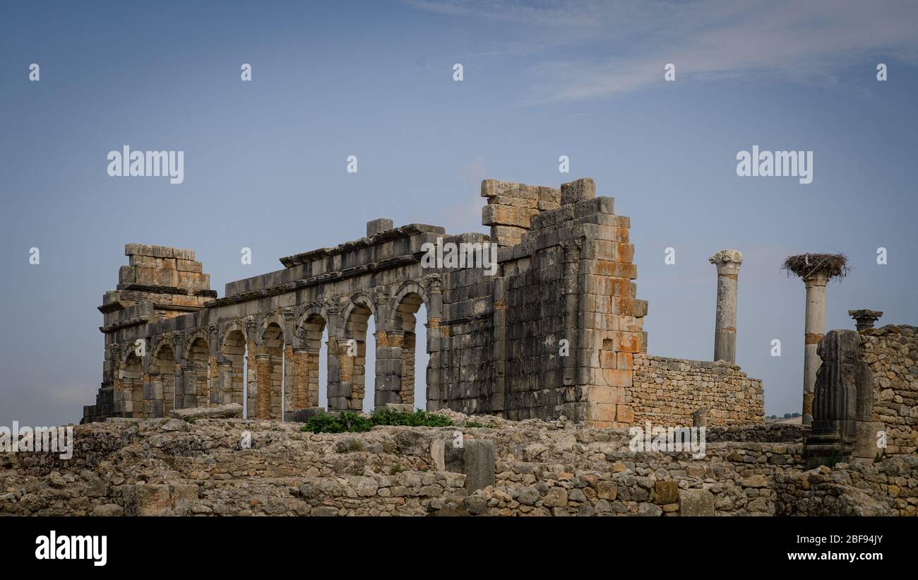 Old Roman ruins in Volubilis Stock Photo - Alamy