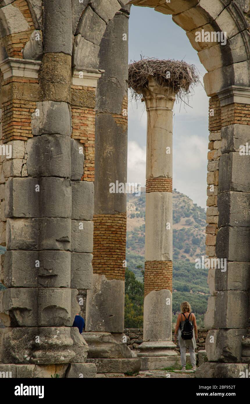 Old Roman ruins in Volubilis Stock Photo - Alamy