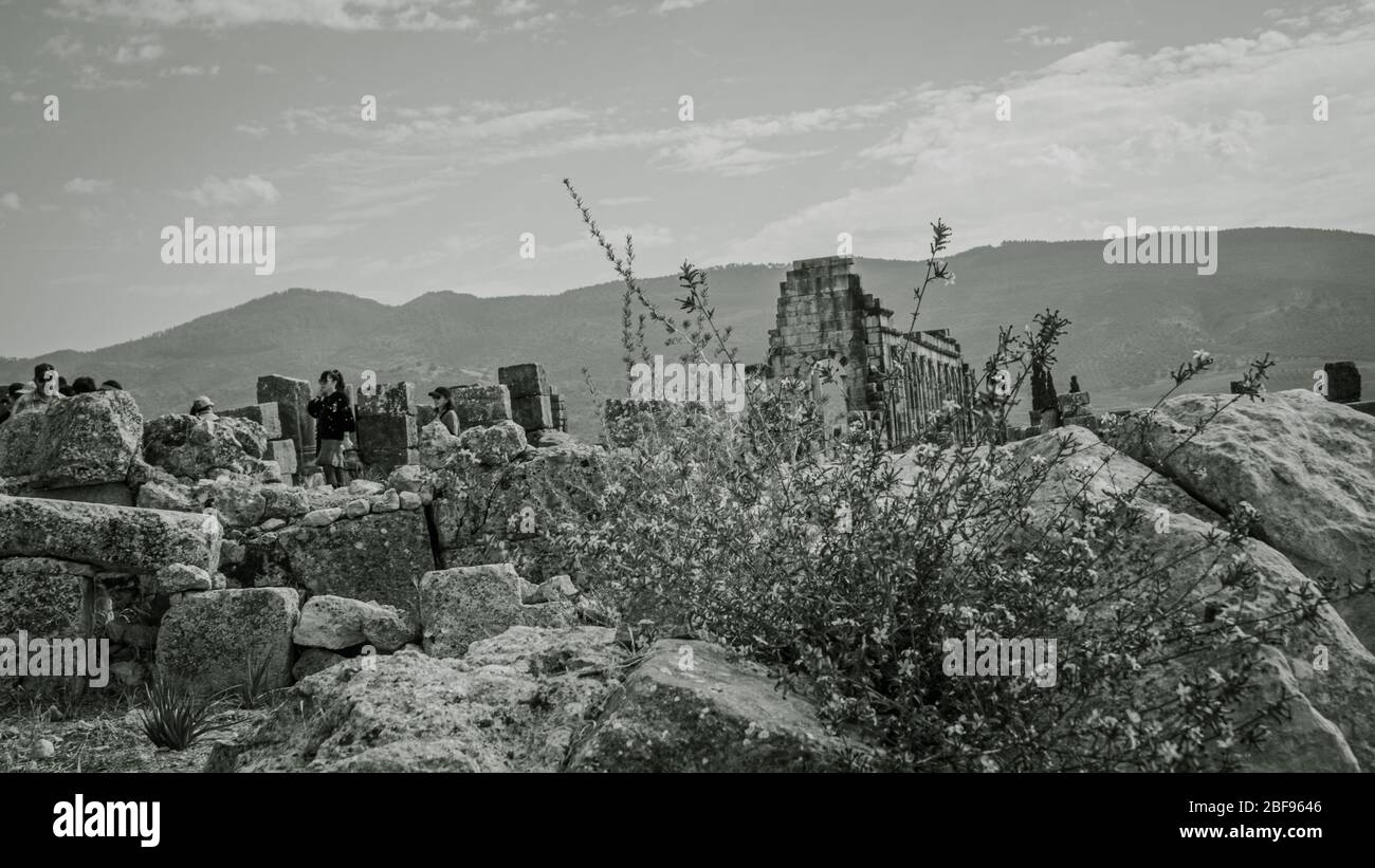 Old Roman ruins in Volubilis Stock Photo - Alamy