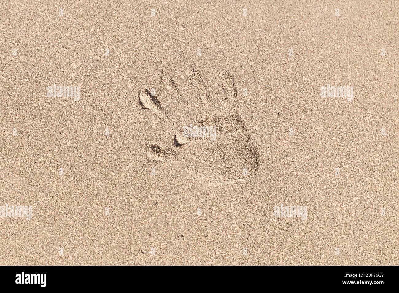 Palm imprint in a wet coastal sand at summer day Stock Photo - Alamy
