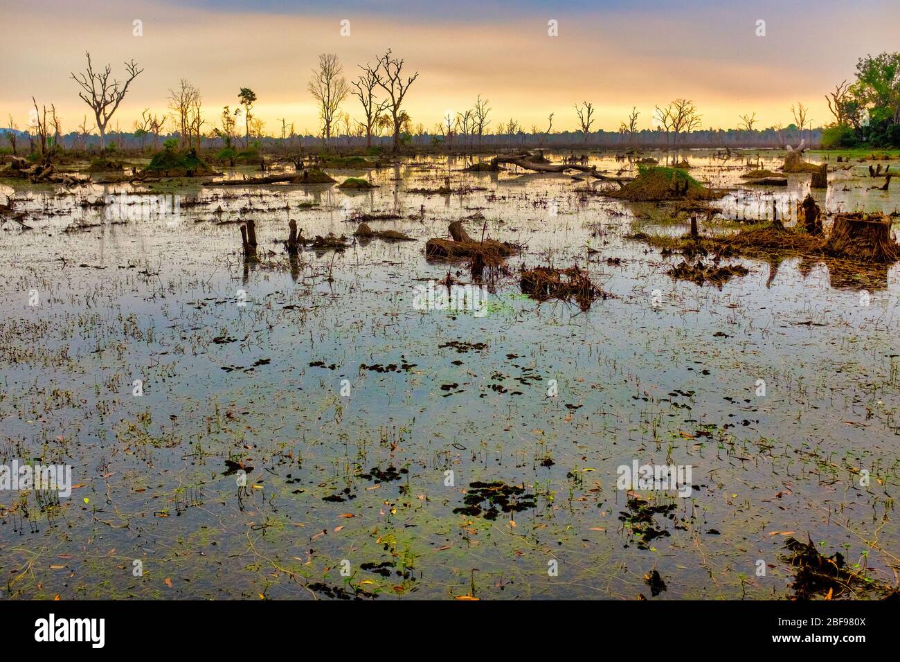 Jayatataka baray hi-res stock photography and images - Alamy