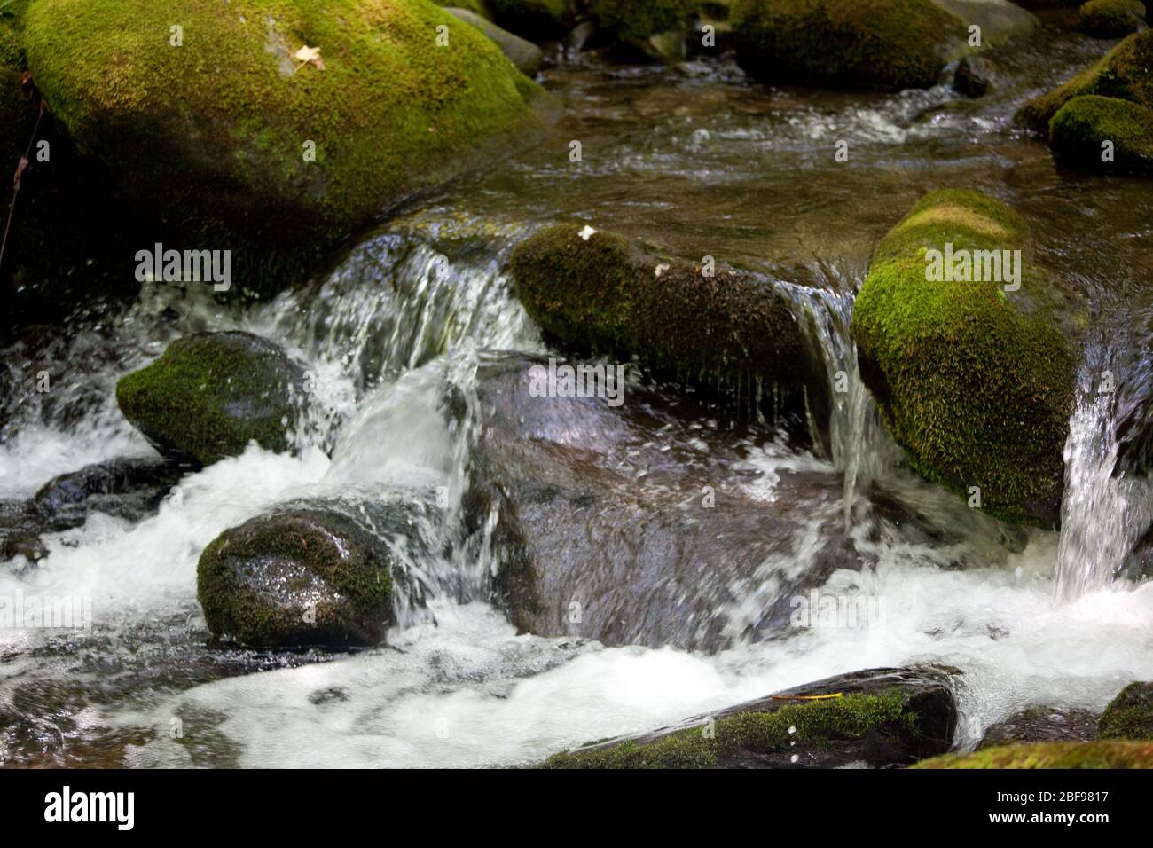 Stream cascading by stones and rocks Stock Photo - Alamy
