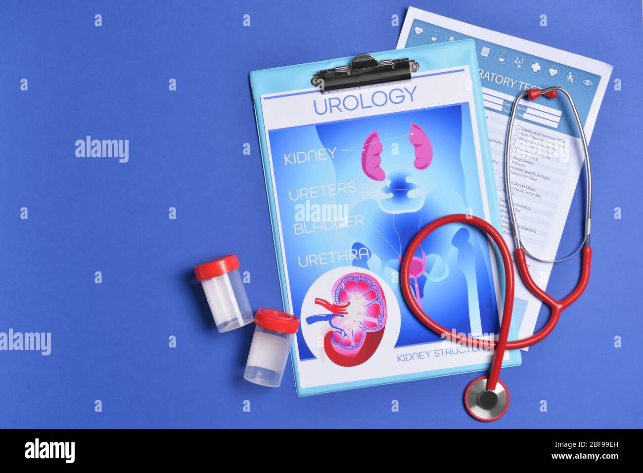 Picture of urogenital system, stethoscope and laboratory test form on ...
