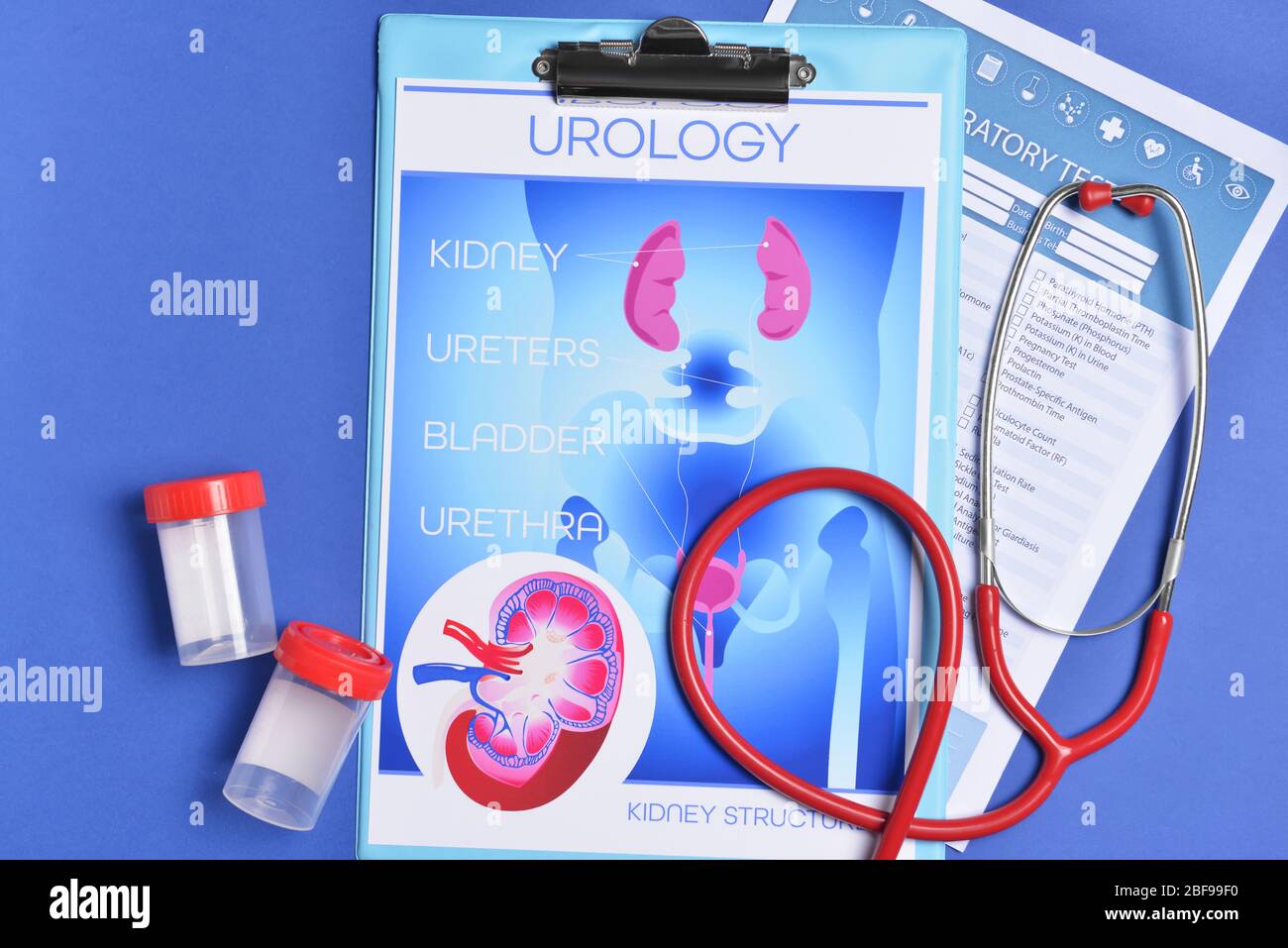 Picture of urogenital system, stethoscope and laboratory test form on ...