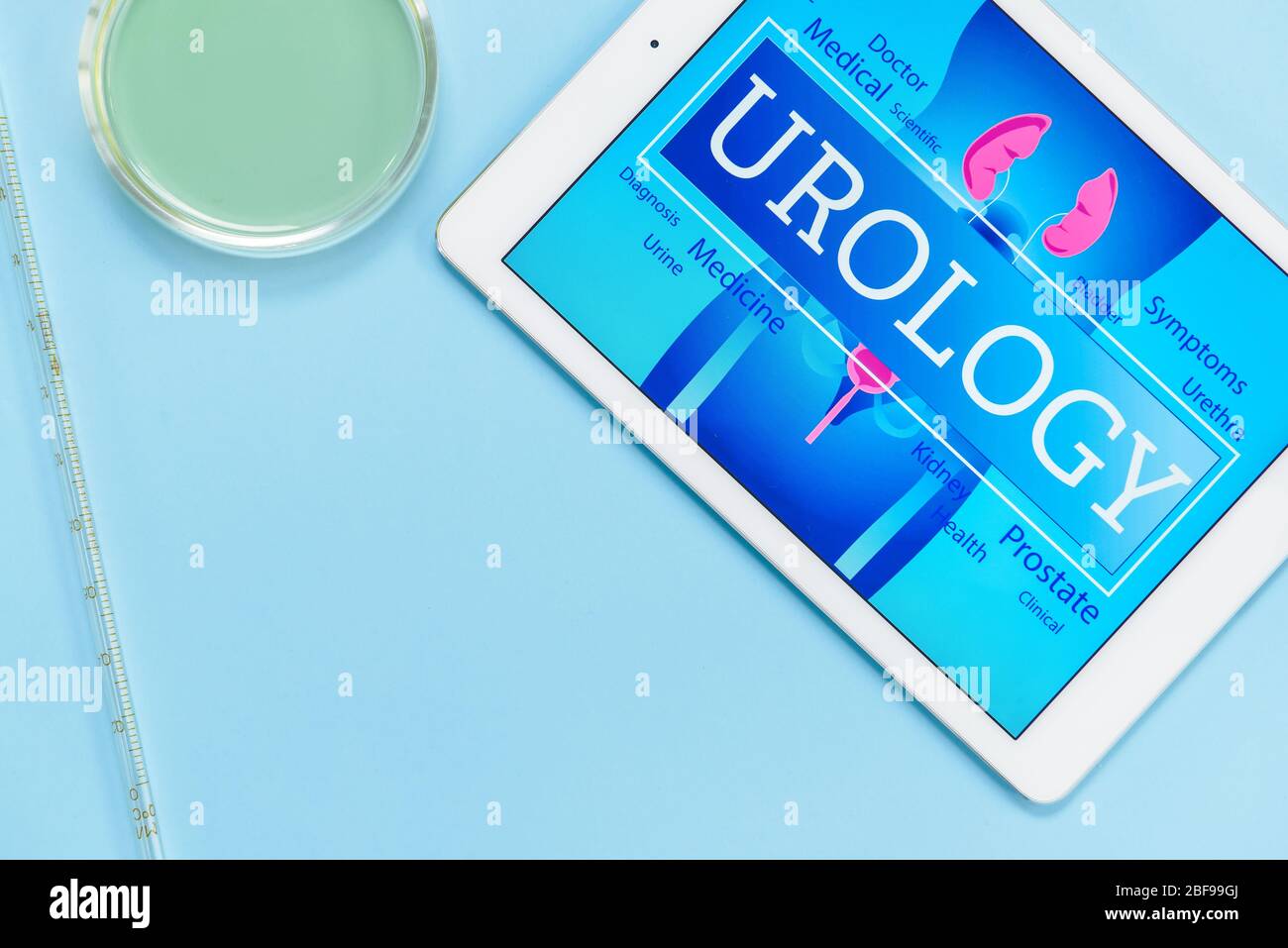 Tablet computer with picture of urogenital system on screen and urine ...