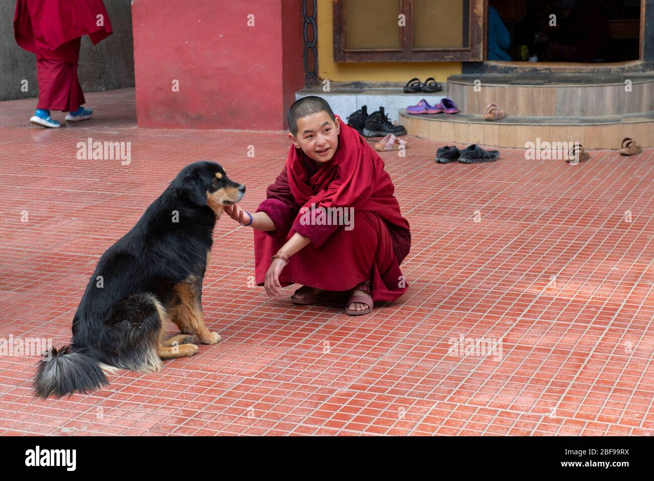 Bhutanese girl dog hi-res stock photography and images - Alamy
