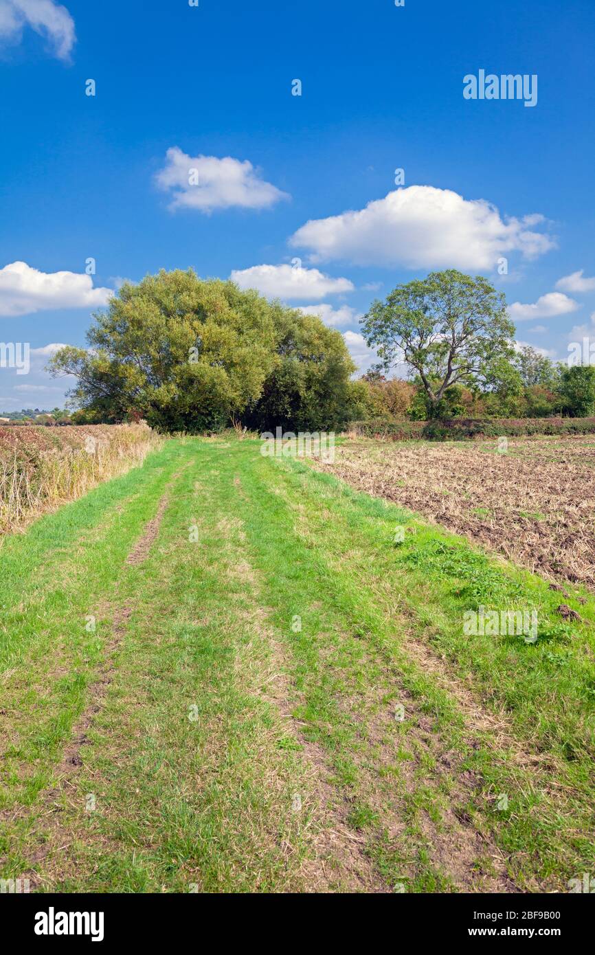 Typical english farm hi-res stock photography and images - Alamy