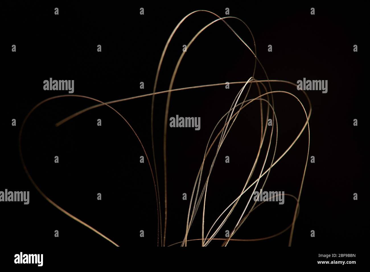 Brown human hair macro view isolated on black background Stock Photo ...