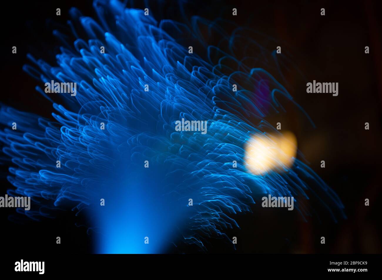 Blue abstract particles and lines with bokeh and blur in dark ...
