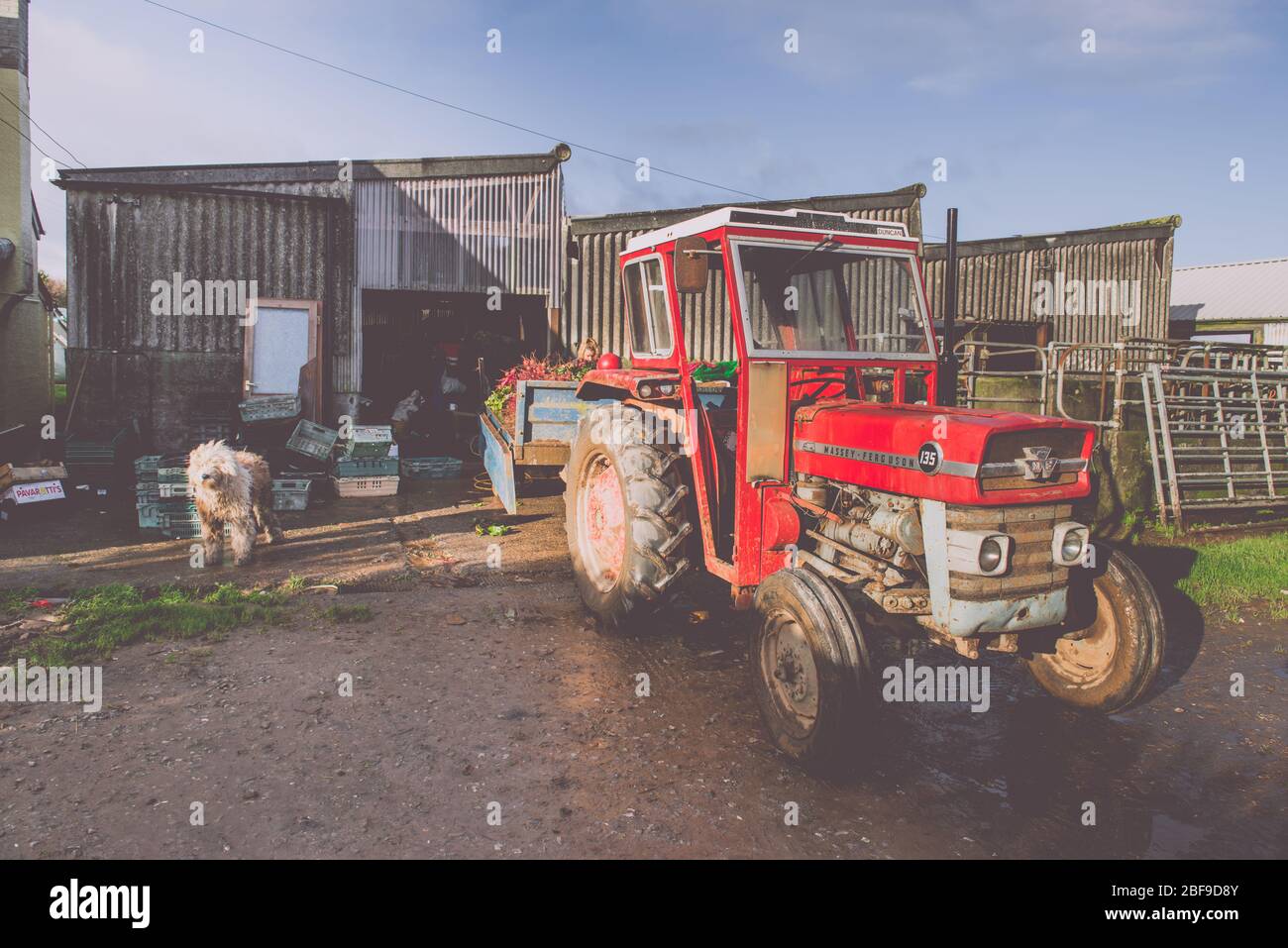 Tractor Parked on farm yard Stock Photo - Alamy